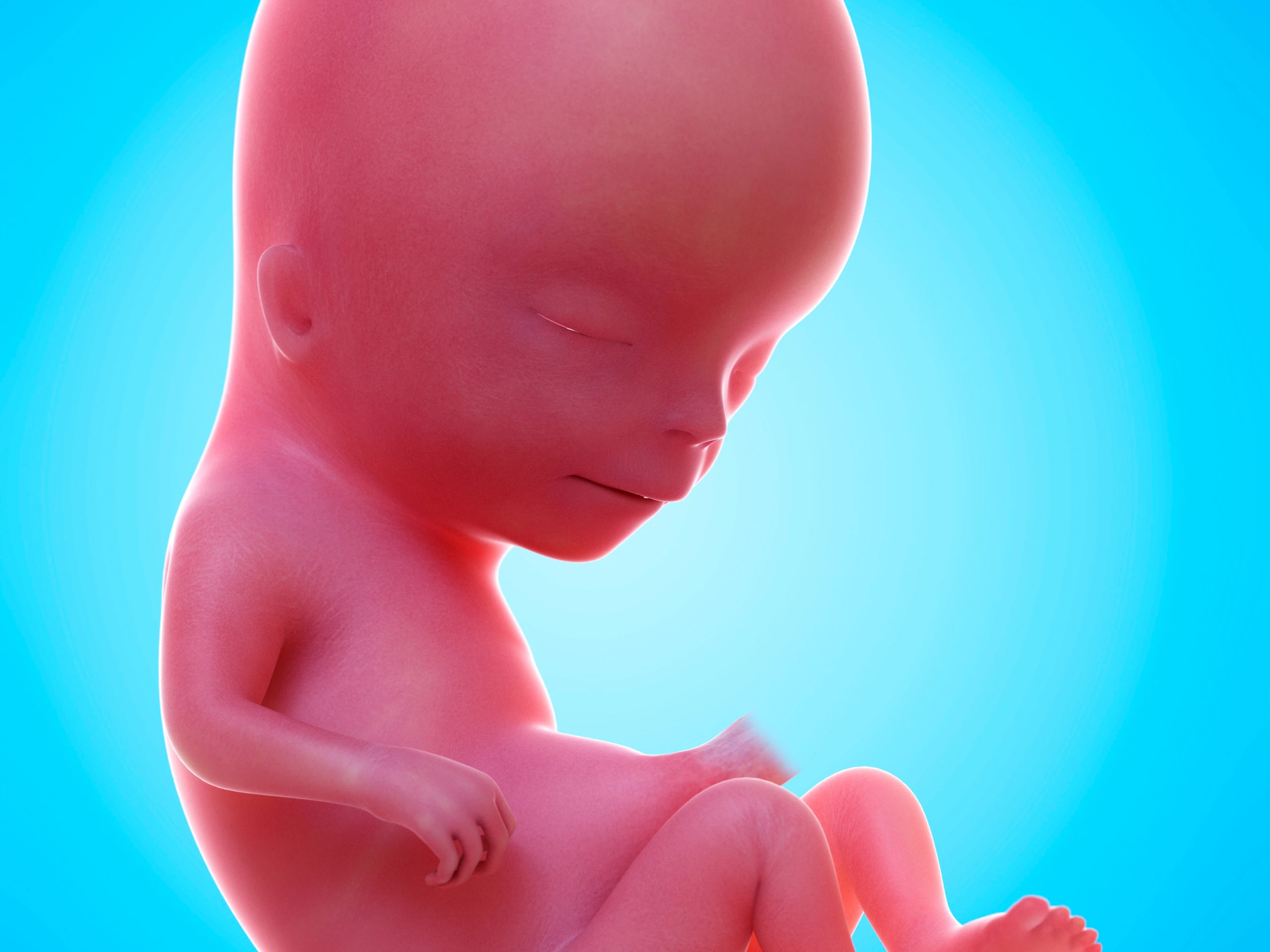 13 Weeks Pregnant: Baby Growth & Pregnancy Symptoms