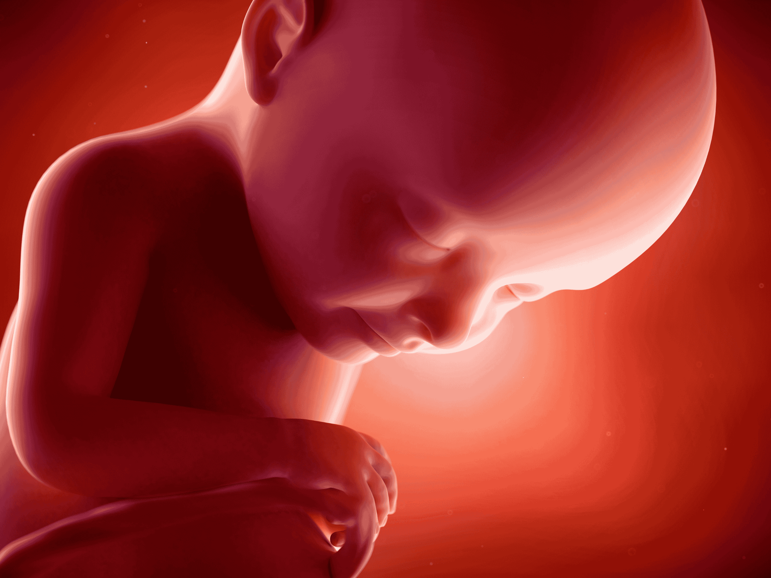 28 Weeks Pregnant: Baby Growth, Symptoms