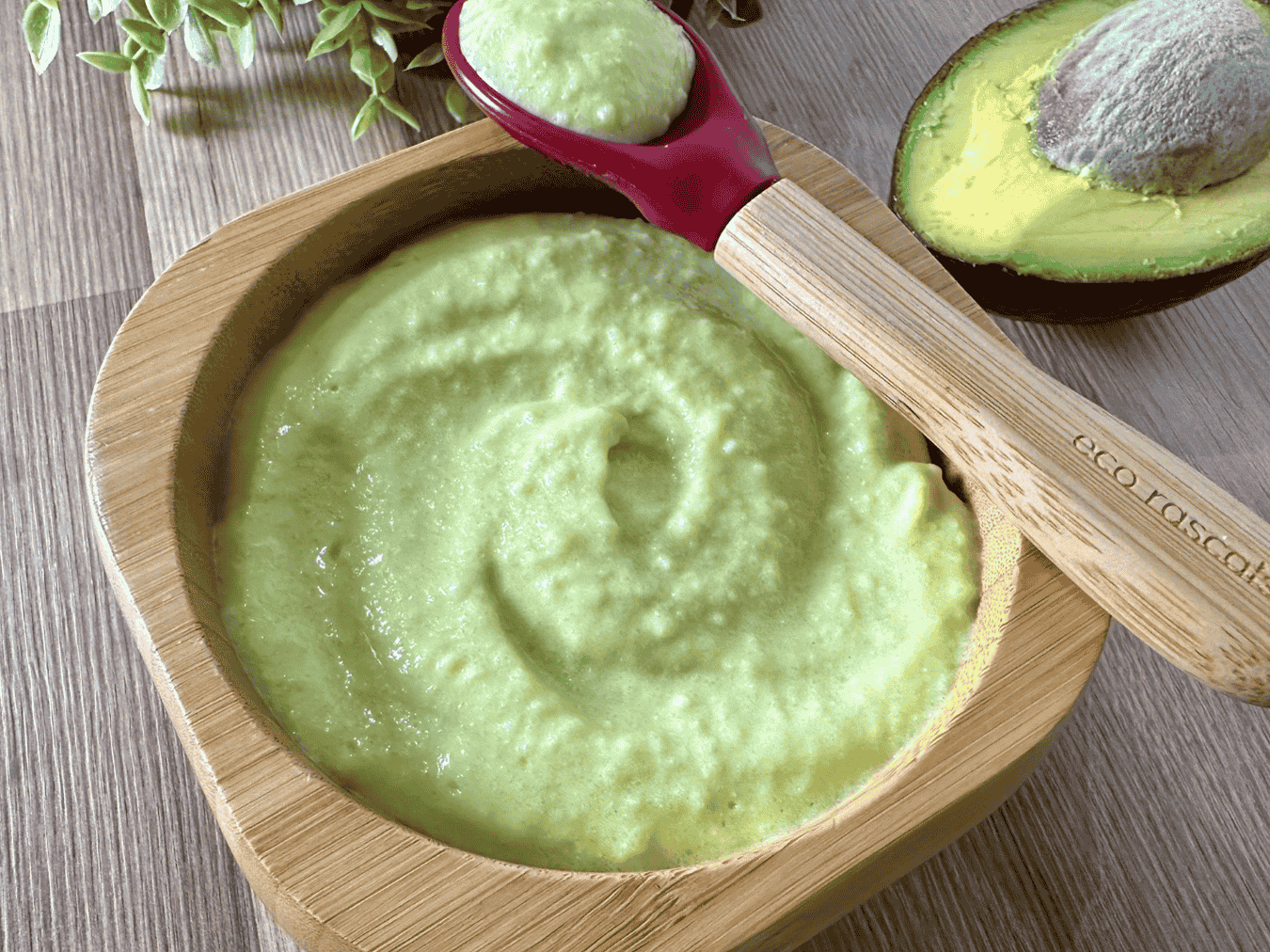 Avocado Rice Puree