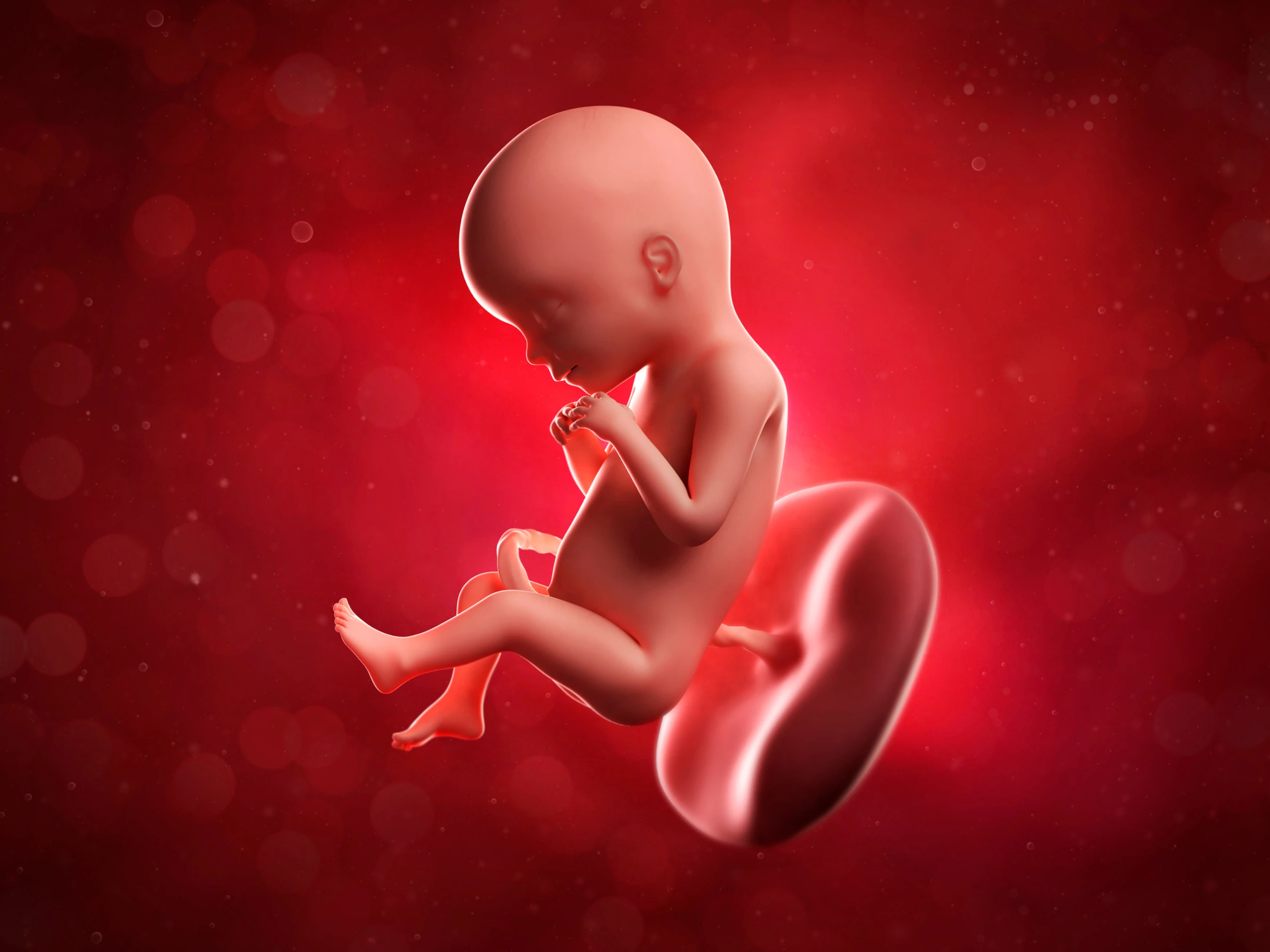 Baby Development & Symptoms at 20 Weeks