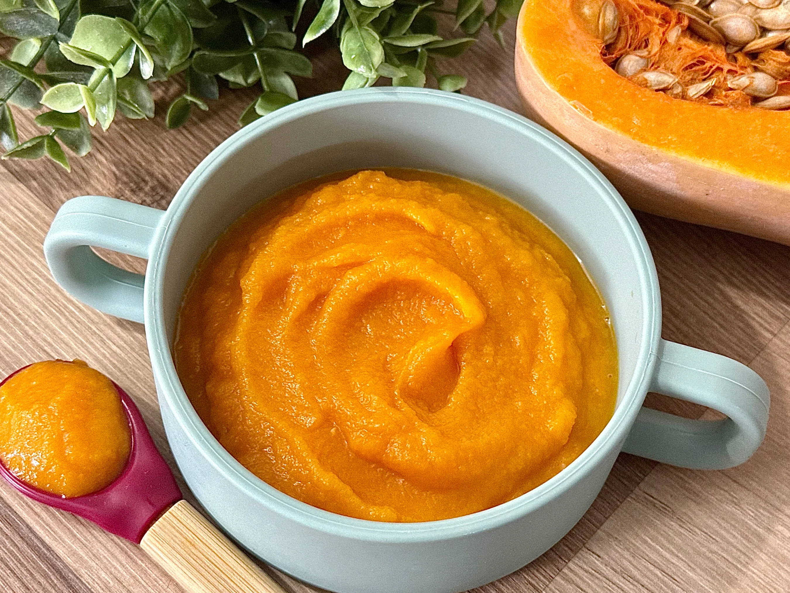 Butternut Squash Baby Food Puree