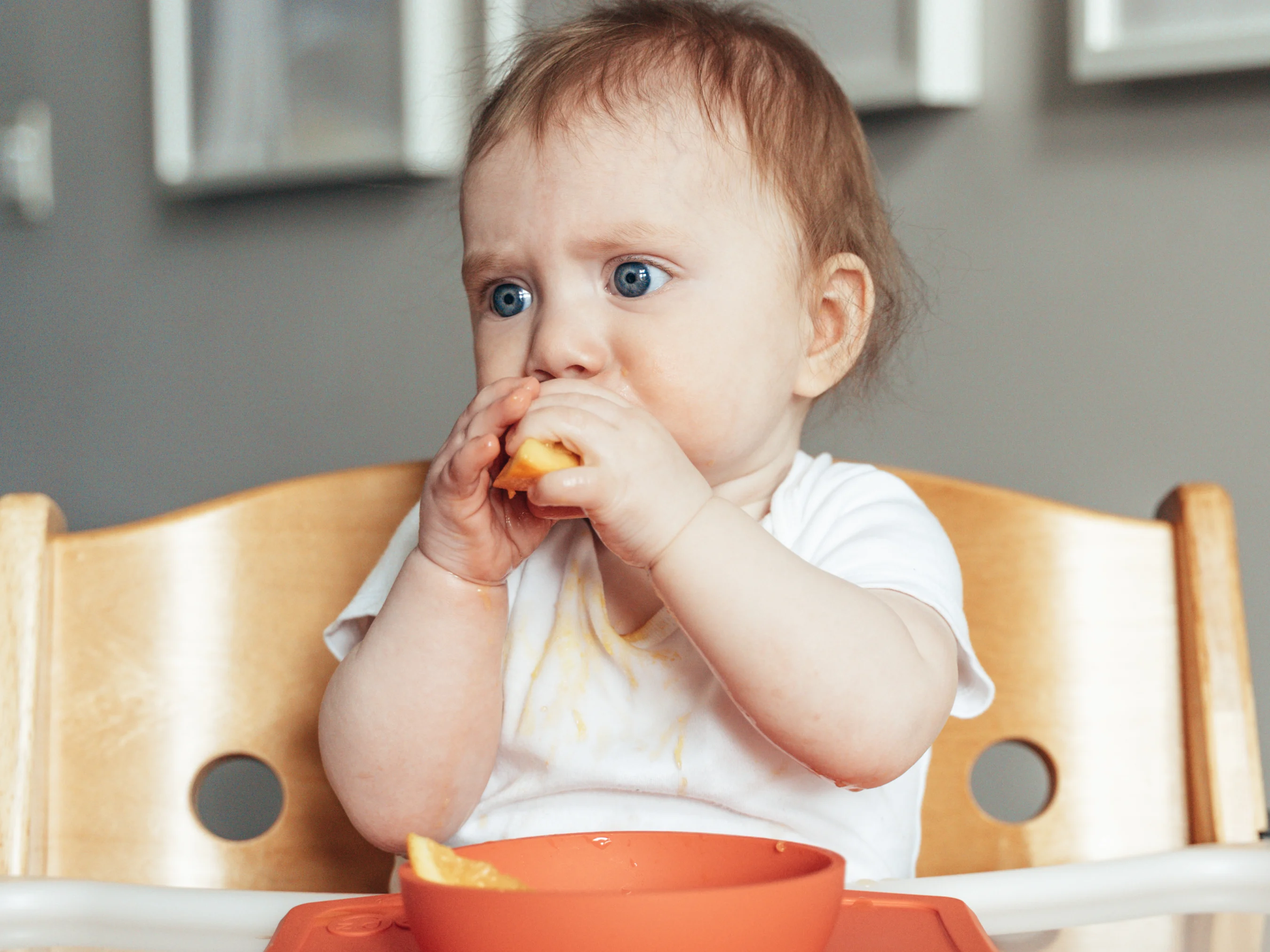 Baby-Led Weaning: Complete Guide to Starting Solid Foods